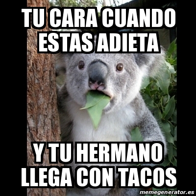 Meme Koala - tu cara cuando estas adieta y tu hermano llega con tacos ...