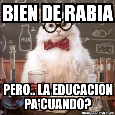 Meme Chemistry Cat - Bien de rabia pero.. La educacion pa'cuando ...