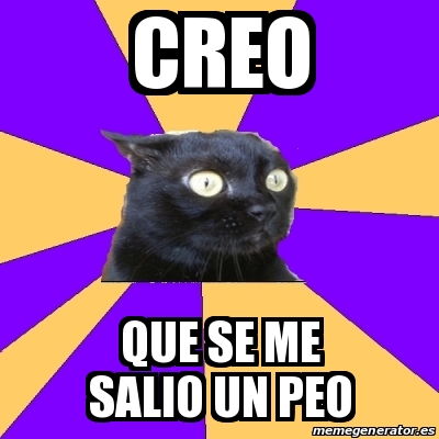 Meme Anxiety Cat - Creo Que se me salio un peo - 21888945