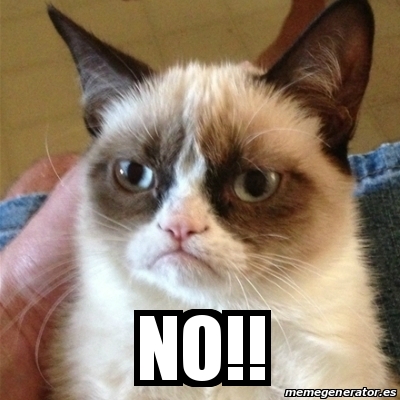 Meme Grumpy Cat - No!! - 21955454