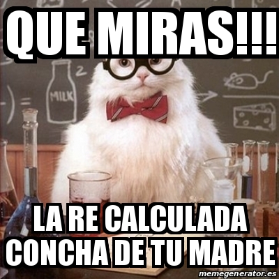 Meme Chemistry Cat - que miras!!! la re calculada concha de tu madre ...