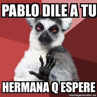 Meme Chill Out Lemur - pablo dile a tu hermana q espere - 21975619