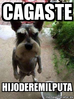 Meme Personalizado - cagaste hijoderemilputa - 22145291