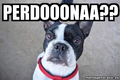 Meme Personalizado - PERDOOONAA?? - 22171750
