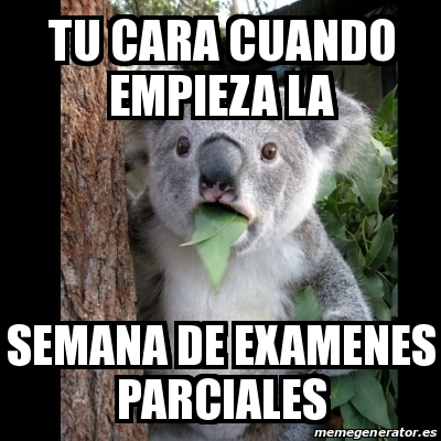 Meme Koala - tu cara cuando empieza la semana de examenes parciales ...