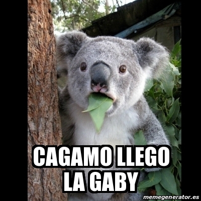 Meme Koala - Cagamo llego la gaby - 22026379