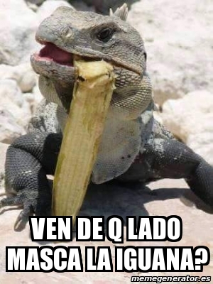Meme Personalizado - Ven de q lado masca la iguana? - 22293263
