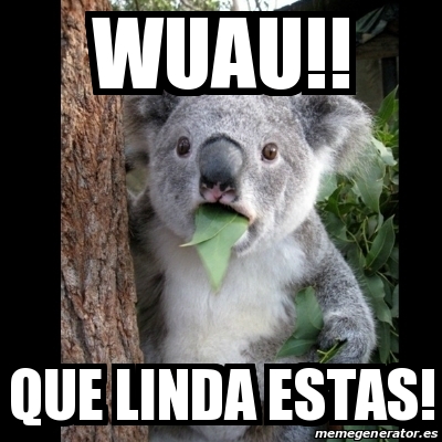 Meme Koala - wuau!! que linda estas! - 22034609