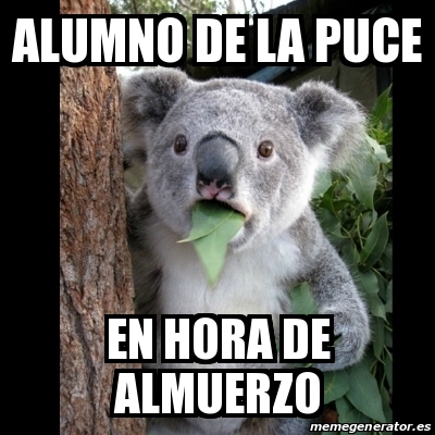 Meme Koala - alumno de la puce en hora de almuerzo - 22039101