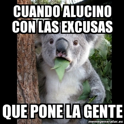 Meme Koala - cuando alucino con las excusas que pone la gente - 22337812