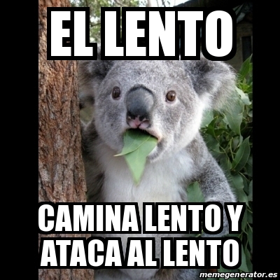 Meme Koala - el lento camina lento y ataca al lento - 22409148