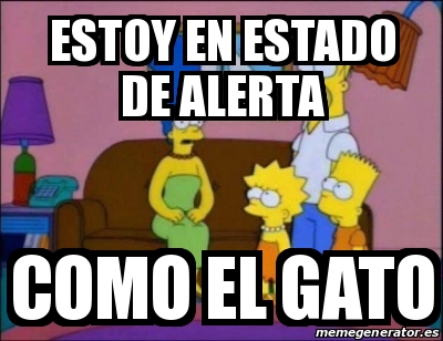 Meme Personalizado - estoy en estado de alerta como el gato - 22442153