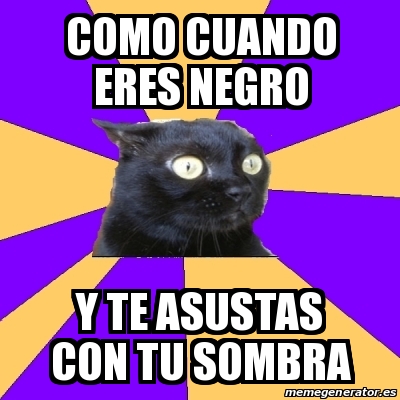Meme Anxiety Cat - Como cuando eres negro y te asustas con tu sombra ...