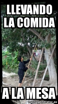 Meme Personalizado - llevando la comida a la mesa - 22504093