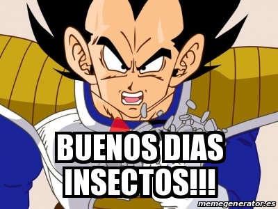 Meme Personalizado - buenos dias insectos!!! - 22542538