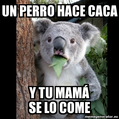 Meme Koala - UN PERRO HACE CACA Y tu mamÃ¡ se lo come - 22544435