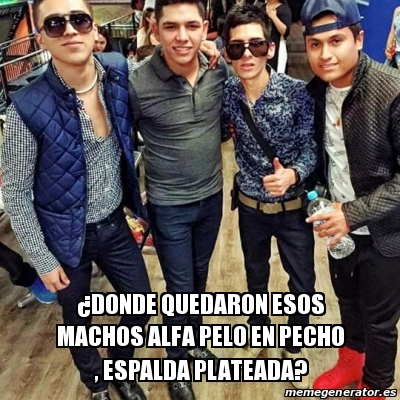 Meme Personalizado - Â¿donde quedaron esos machos alfa pelo en pecho ...