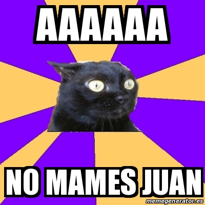 Meme Anxiety Cat - aaaaaa no mames juan - 22554488
