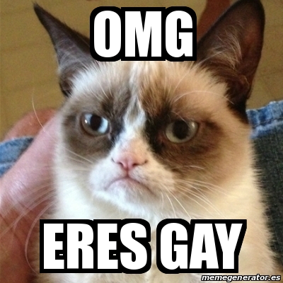 Meme Grumpy Cat - Omg Eres gay - 22561591