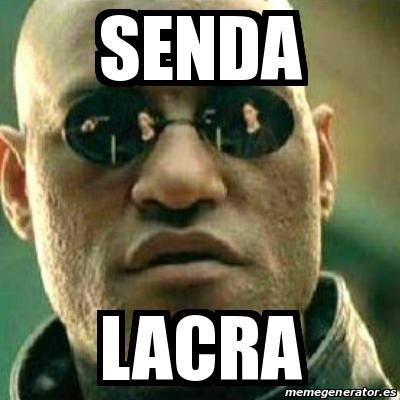 Meme What If I Told You - senda lacra - 22563273