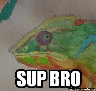 Meme Personalizado - sup bro - 22584782