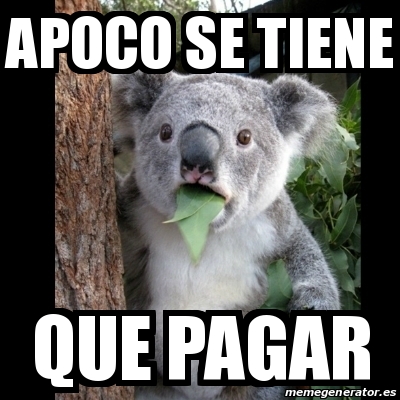 Meme Koala - APOCO SE TIENE QUE PAGAR - 22599232