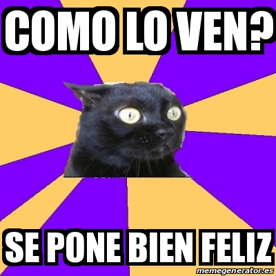 Meme Anxiety Cat - Como lo ven? Se pone bien feliz - 22063751