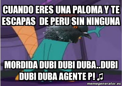 Meme Personalizado - cuando eres una paloma Y TE ESCAPAS DE PERU sin ...