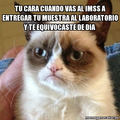 Meme Grumpy Cat - Tu cara cuando vas al IMSS a entregar tu muestra al ...