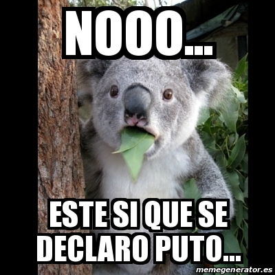 Meme Koala - nooo... este si que se declaro puto... - 22683384