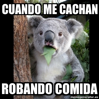 Meme Koala - CUANDO ME CACHAN ROBANDO COMIDA - 22700779