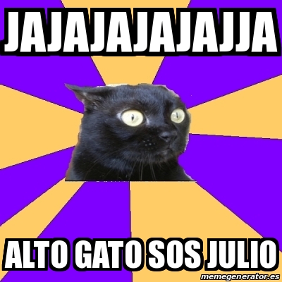Meme Anxiety Cat - jajajajajajja alto gato sos julio - 22726257
