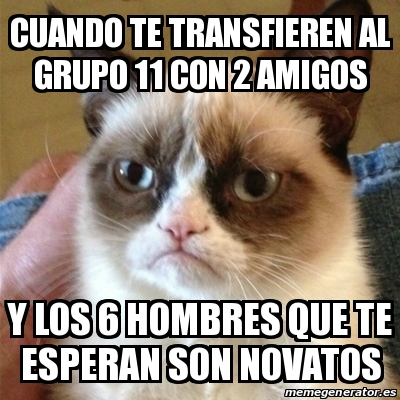 Meme Grumpy Cat - cuando te transfieren al grupo 11 con 2 amigos y los ...