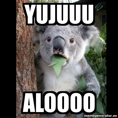 Meme Koala - Yujuuu Aloooo - 22084732
