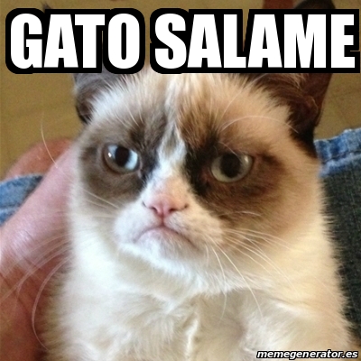 Meme Grumpy Cat - gato salame - 22829402