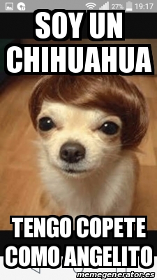 Meme Personalizado - Soy un chihuahua tengo copete como Angelito - 22838439