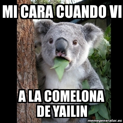 Meme Koala - mi cara cuando vi a la comelona de yailin - 22897530