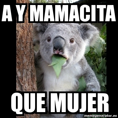 Meme Koala - A y mamacita Que mujer - 22097382