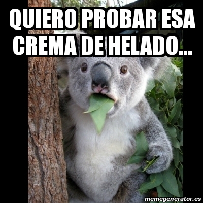 Meme Koala - Quiero probar esa crema de helado... - 22901457