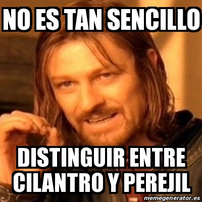 Meme Boromir - No es tan sencillo distinguir entre cilantro y perejil ...