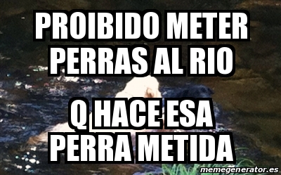Meme Personalizado - proibido meter perras al rio q hace esa perra ...