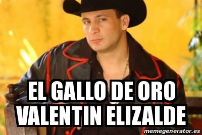 Meme Personalizado - el gallo de oro valentin elizalde - 23104171