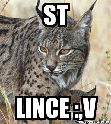 Meme Personalizado - st lince :,v - 23112768