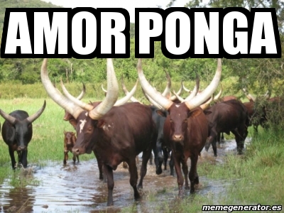 Meme Personalizado - amor ponga - 23127859