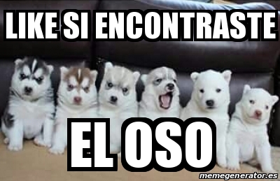 Meme Personalizado - Like si encontraste El oso - 23184729