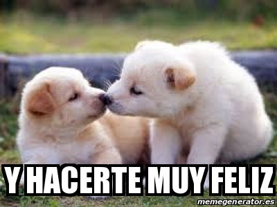 Meme Personalizado - y hacerte muy feliz - 23189668