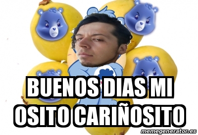 Memes Con Ositos