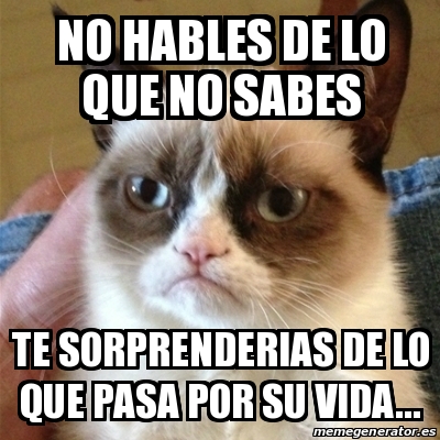 Meme Grumpy Cat - no hables de lo que no sabes te sorprenderias de lo ...