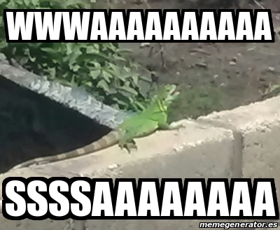 Meme Personalizado - wwwaaaaaaaaaa ssssaaaaaaaa - 23201942