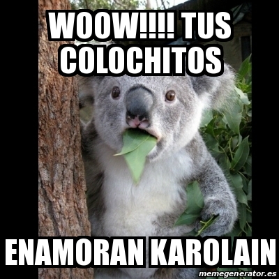 Meme Koala - woow!!!! tus colochitos enamoran Karolain - 23204938